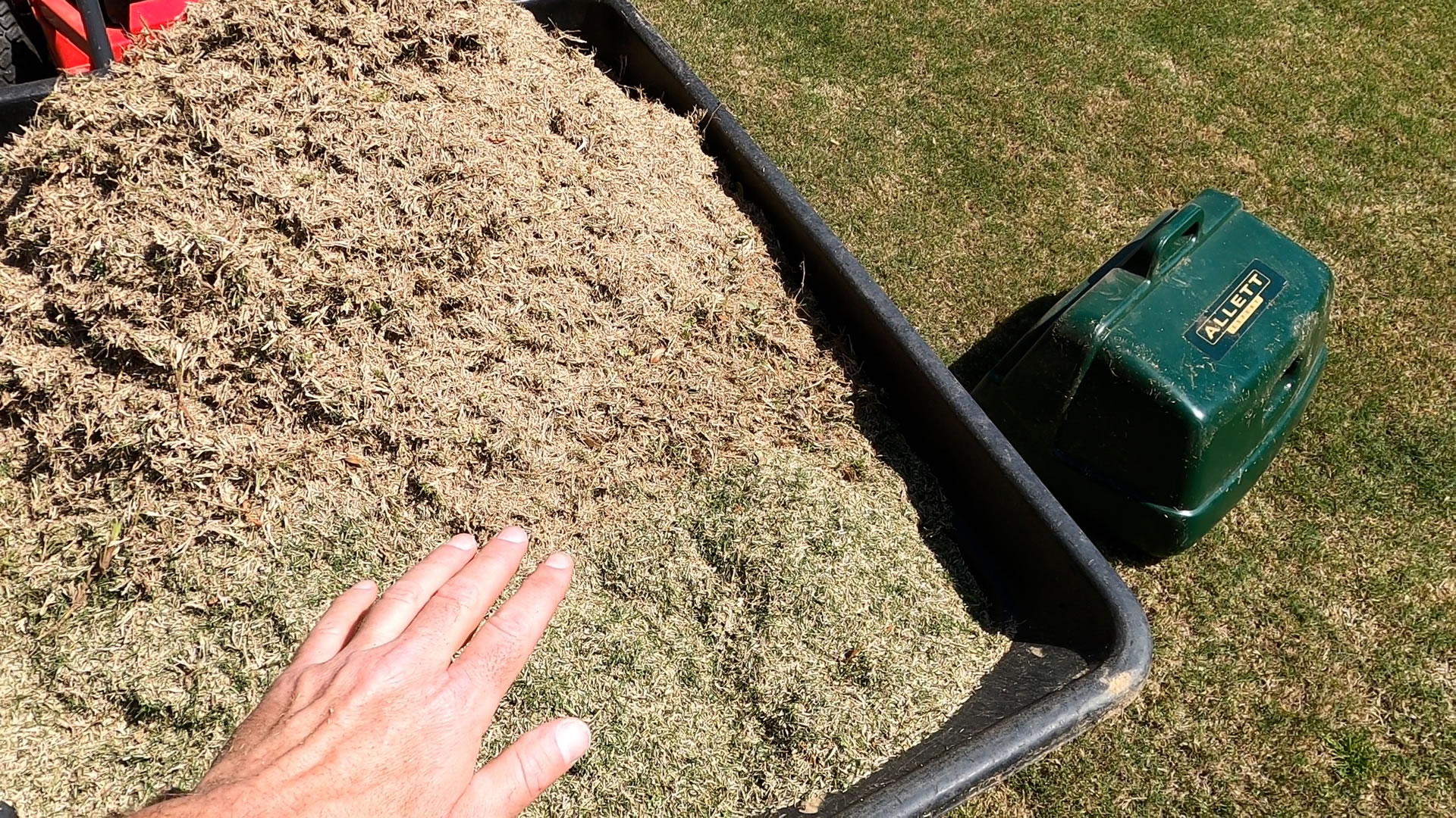 Backyard Scalp, Scarify, and Soil Treatment (S2E6) » Sunny Bermuda