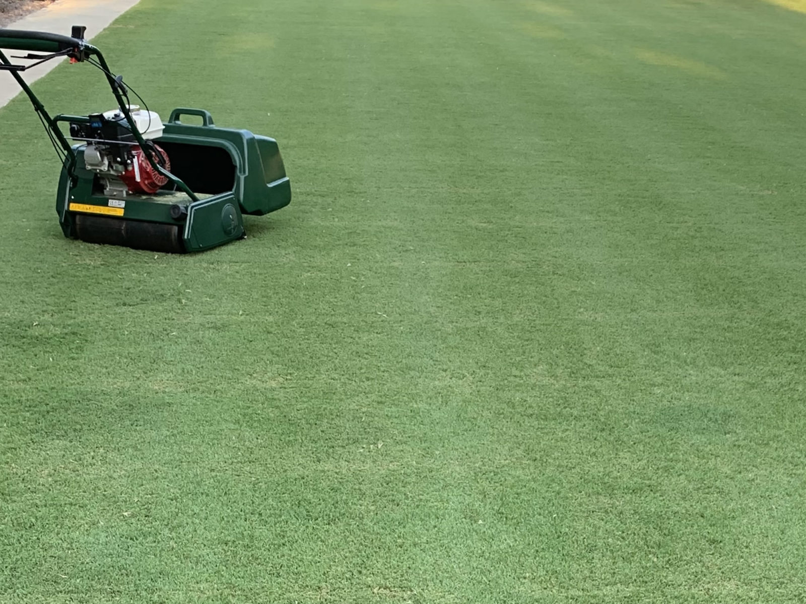 Bermuda Grass ☀️ Sunny Bermuda ☀️ - Lawn tips and more!