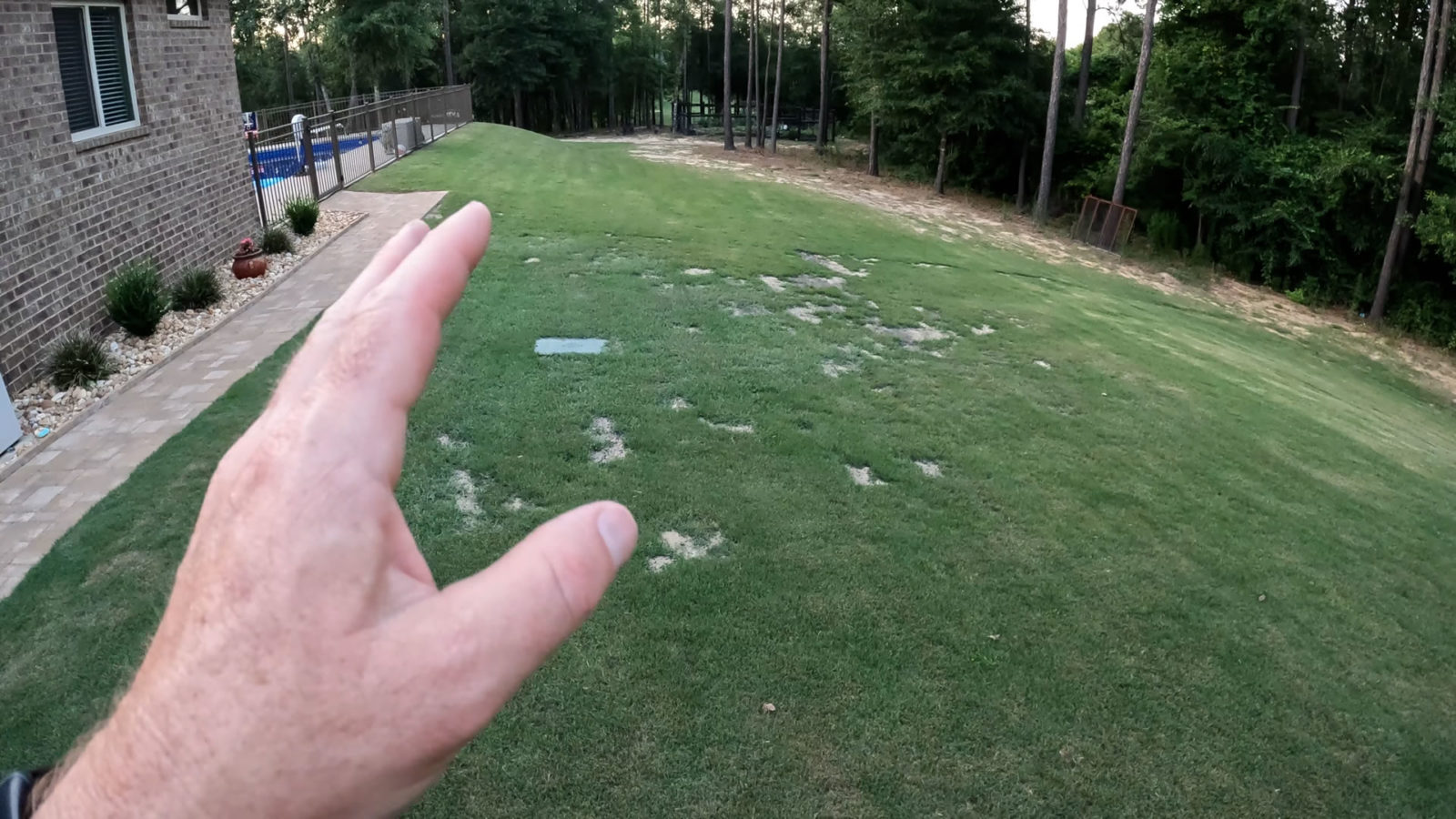 Top Dressing a Bermuda Lawn (S3E12) » Sunny Bermuda